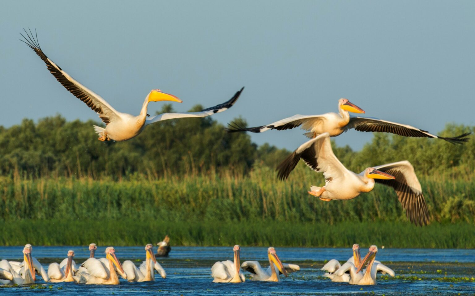 UNESCO World Heritage Sites in Romania: Complete List & Guide - Baltic ...