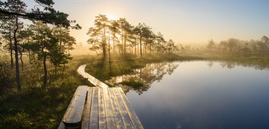 Estonian Islands Holiday, Travel, Tours and Cruises | Baltic Travel Company