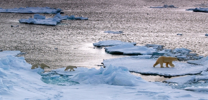 Realm of the Polar Bear | Svalbard Polar Bear Safari | Baltic Travel ...